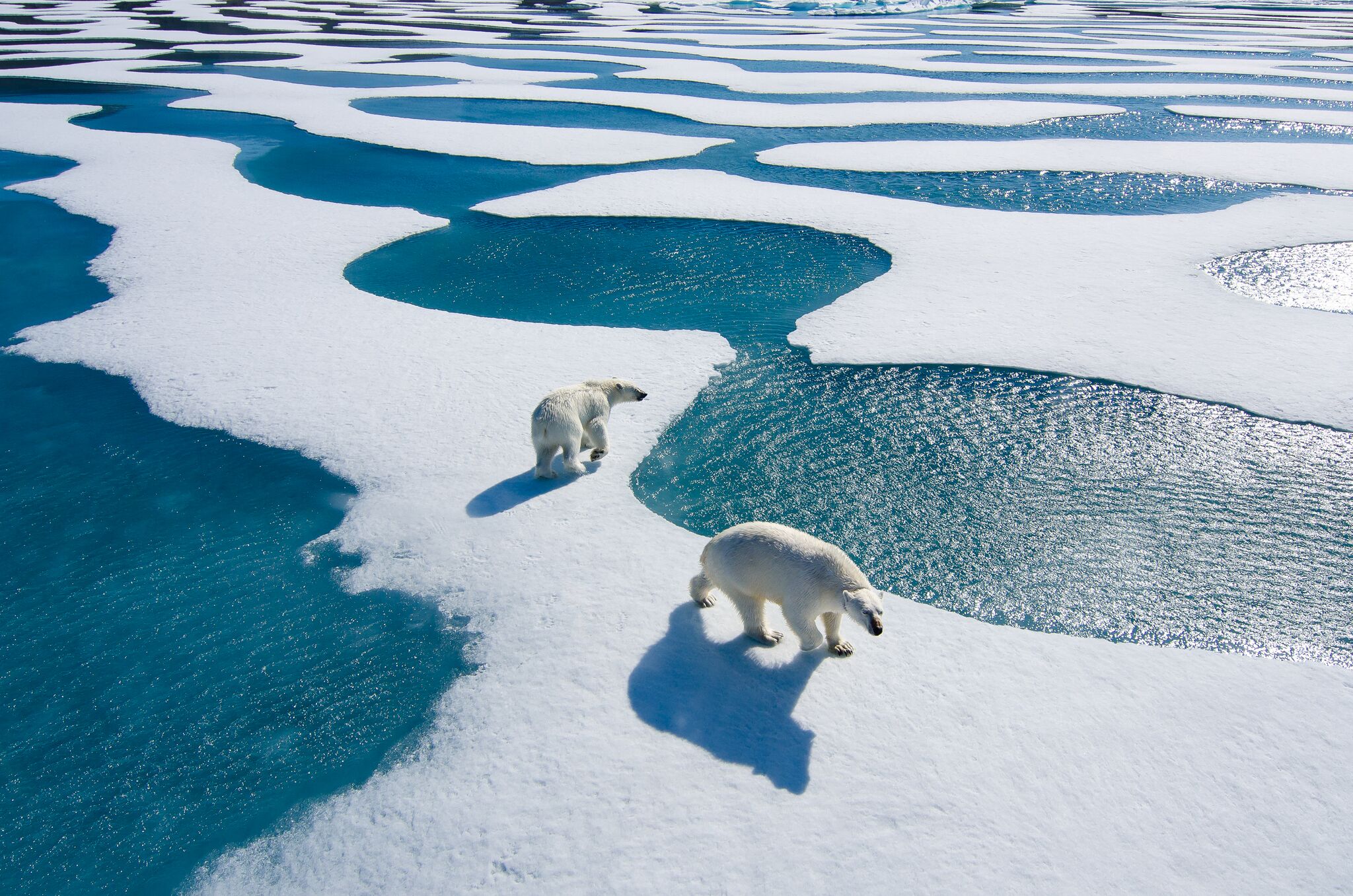 Arctic from Above – Art from Arctic science